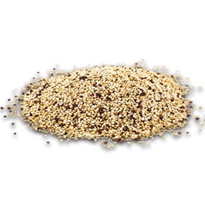 Menu sèche 1500 calories pour femme - Chef Costaud